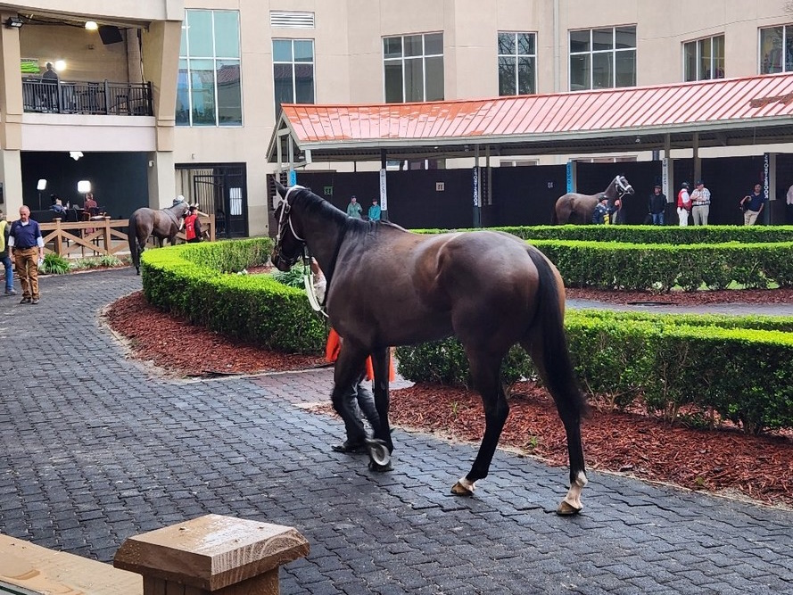 PLANO - Professional Landmen's Association of New Orleans | PLANO ...