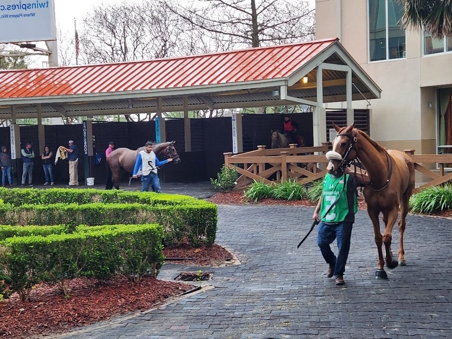 PLANO - Professional Landmen's Association of New Orleans | PLANO ...